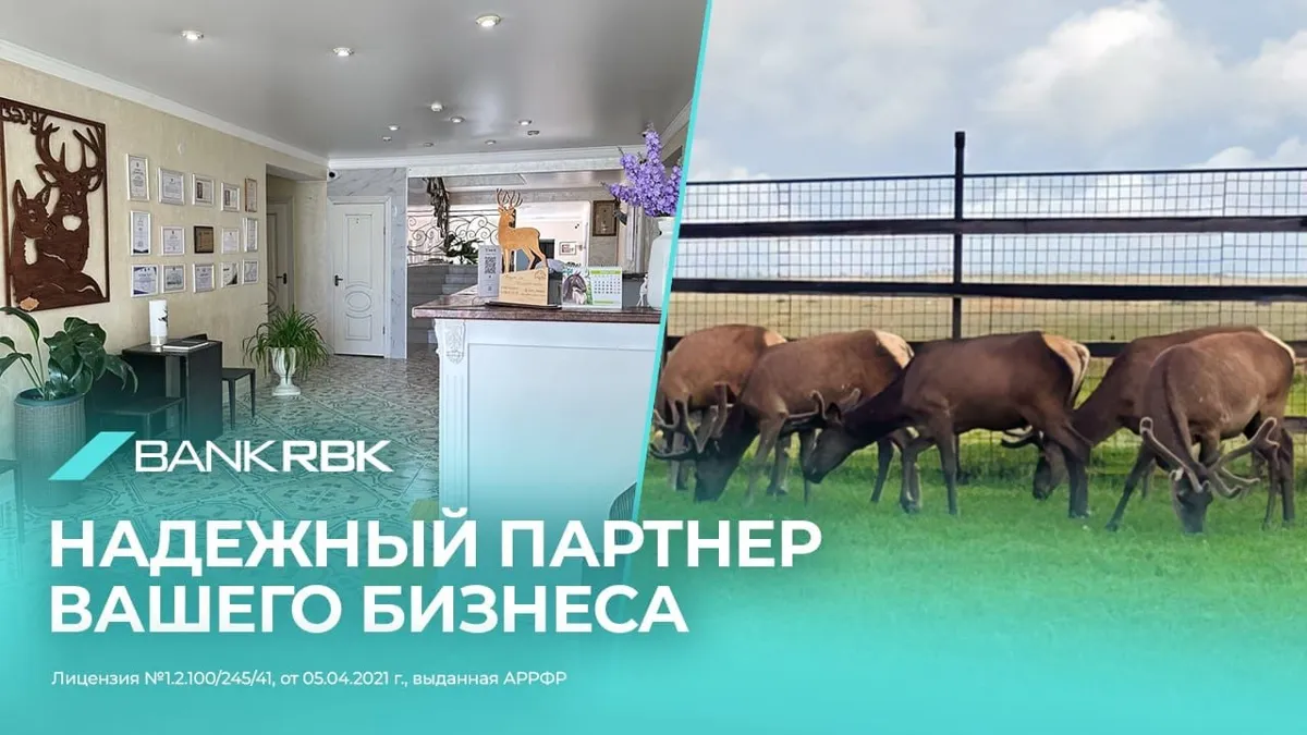 Новый этап для "Зәру". Bank RBK поддержал развитие пантолечебницы